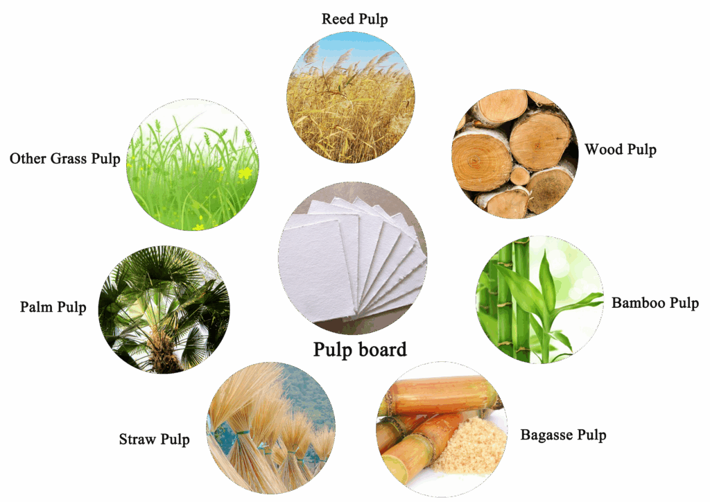 Pulp Molding Raw Materials | Recycled & Agricultural Pulp Guide